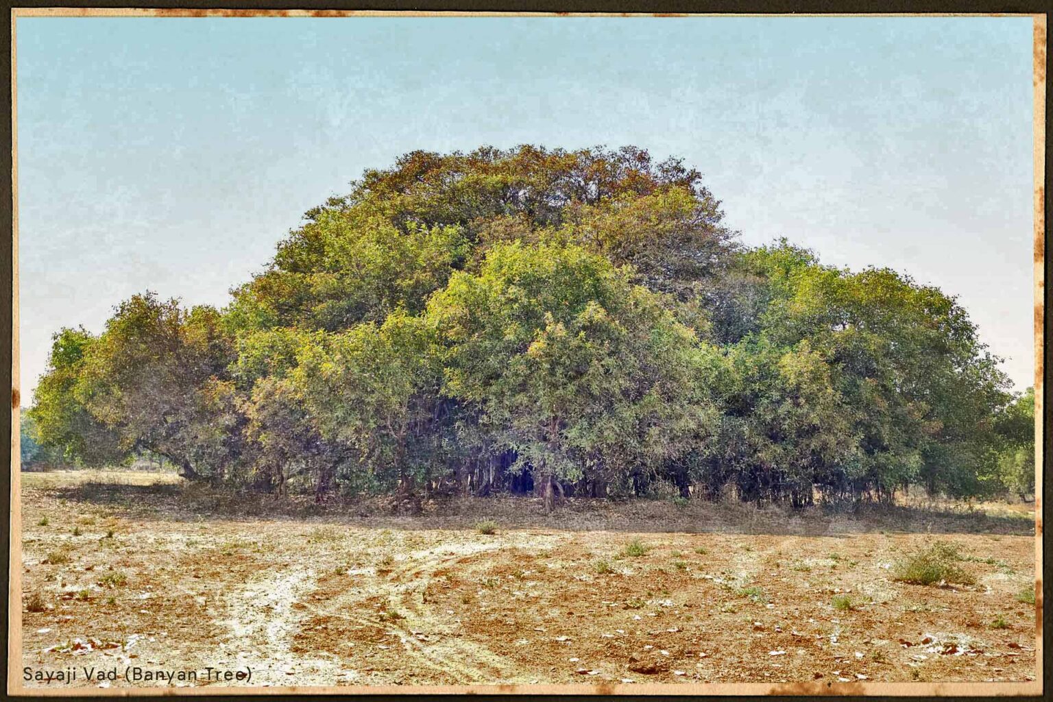 History of Vadodara - Baroda